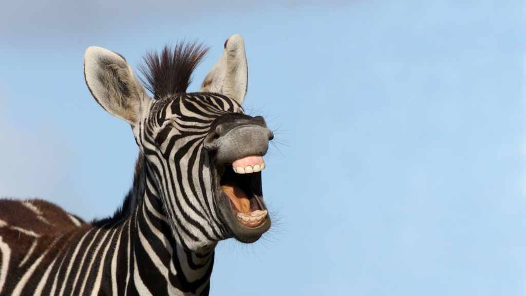 Essenzielles für ein souveränes Leben | Ava Hauser